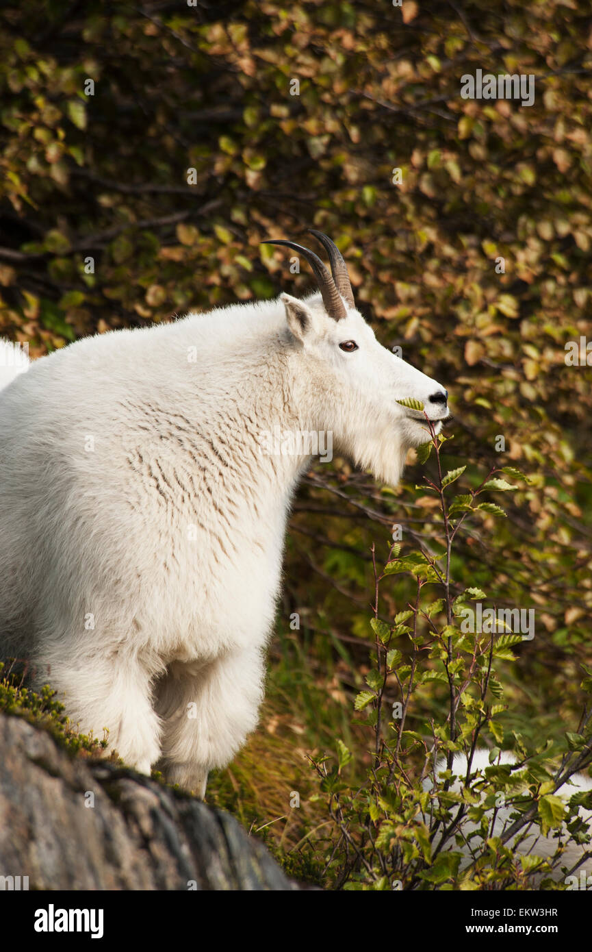Profile mountain hi-res stock photography and images - Alamy