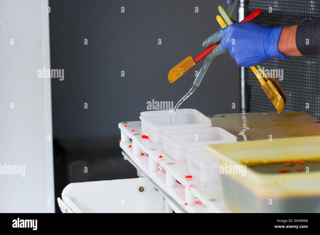 Salmon roe fish farm hi-res stock photography and images - Alamy