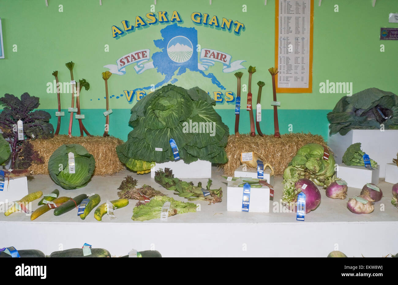 Summer In Palmer Alaska Giant Vegetables The Alaska State Fair Is Over