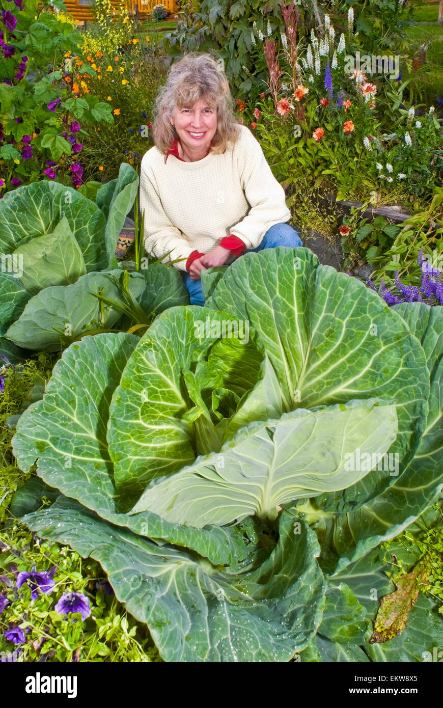 Woman Poses With Giant Cabbages In The Matanuska Valley. Summer In ...