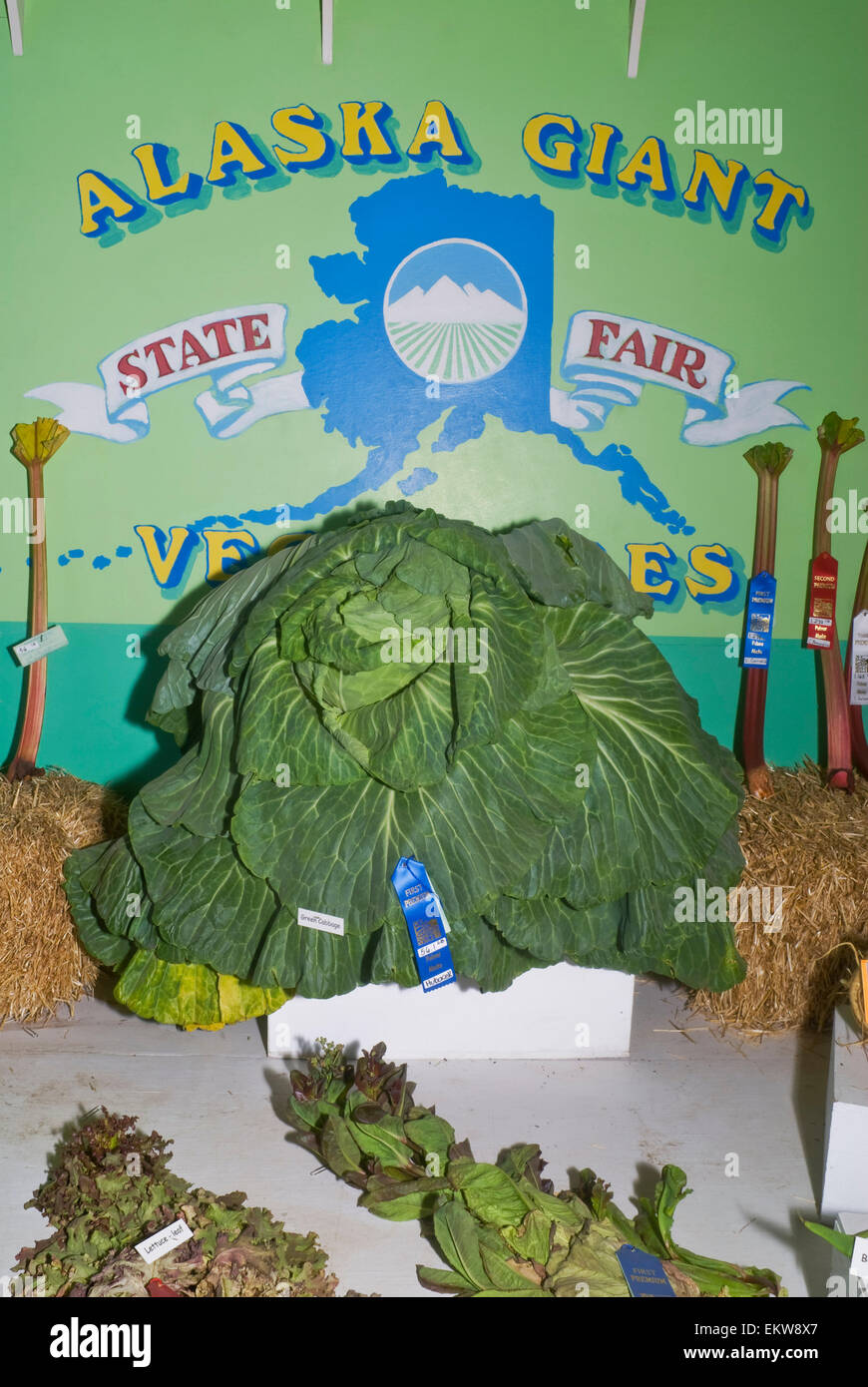 Vegetables On Display At The Alaska State Fair In Palmer. Summer In ...