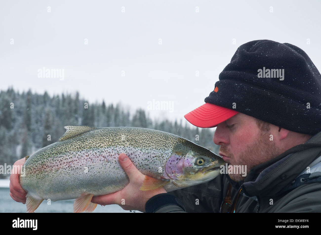 A Fisherman Kisses His Rainbow Trout On The Nose Before Releasing It ...