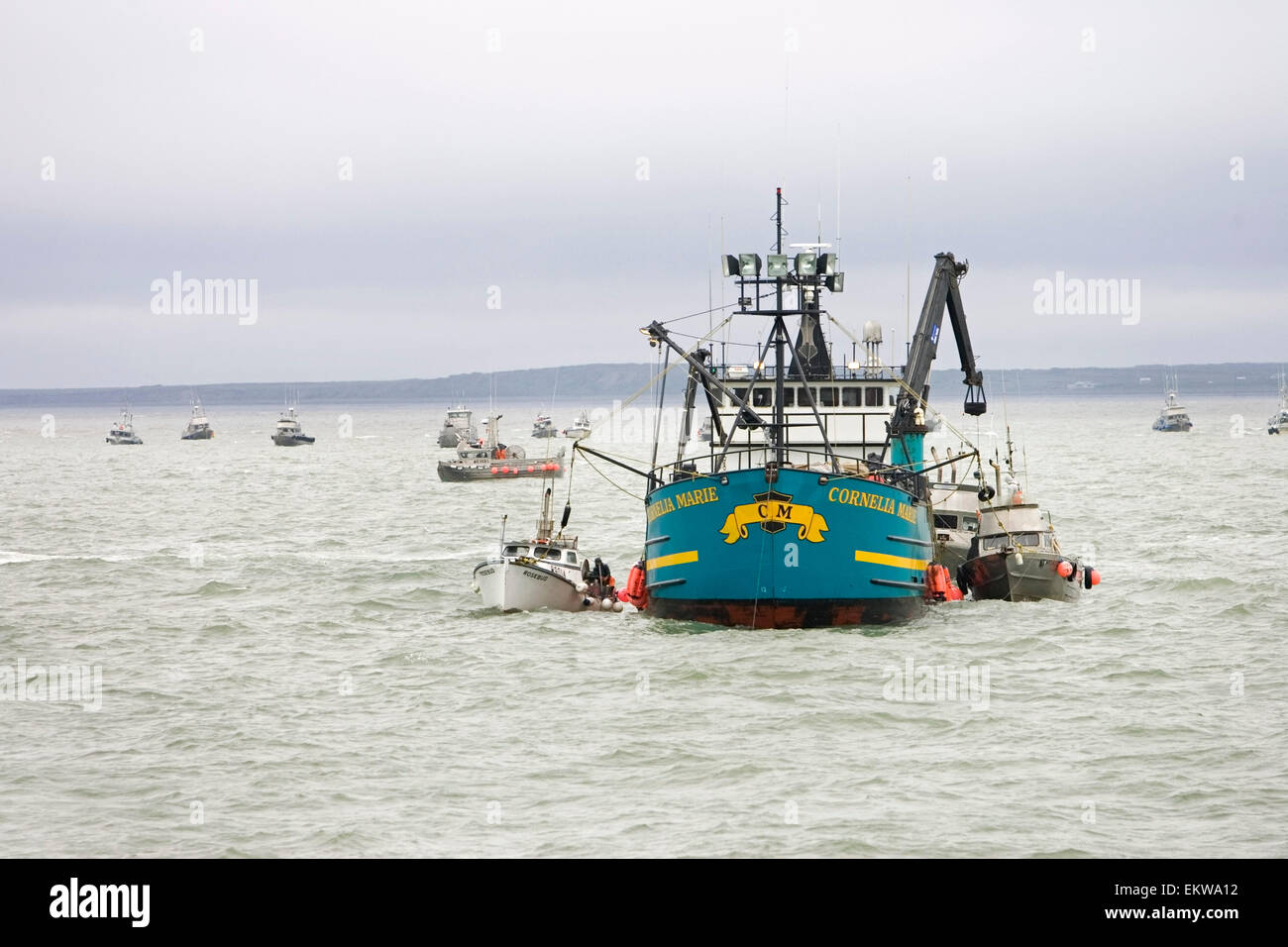 Commercial Fishing Tender Surrounded By Smaller Boats Anchored In ...