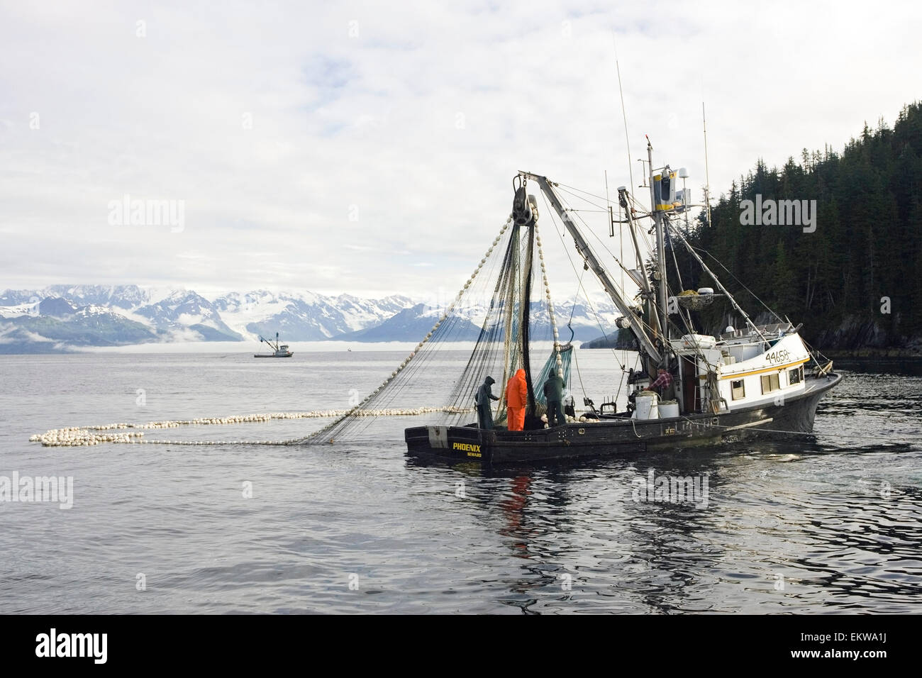 Commercial Fishing Seiner Fishing For Salmon In Prince William Sound ...
