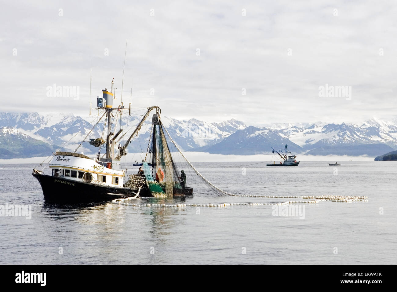 Commercial Fishing Seiner Fishing For Salmon In Prince William Sound ...