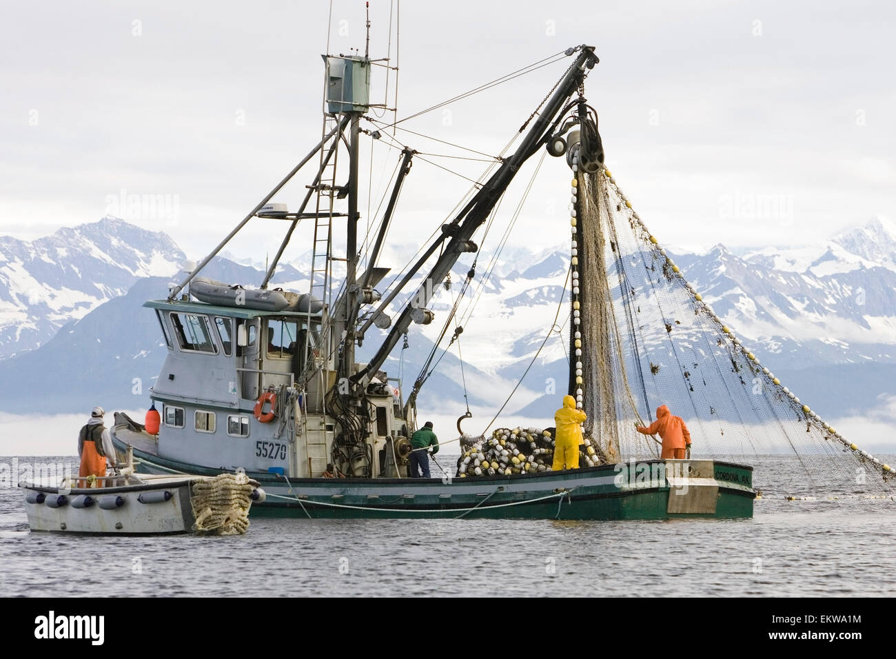 Reeling In Salmon High Resolution Stock Photography and Images - Alamy