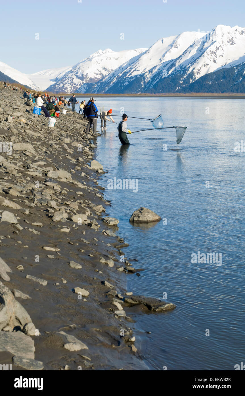 Group Of People Hooligan Fishing On Shoreline Around Turnagain Arm In ...