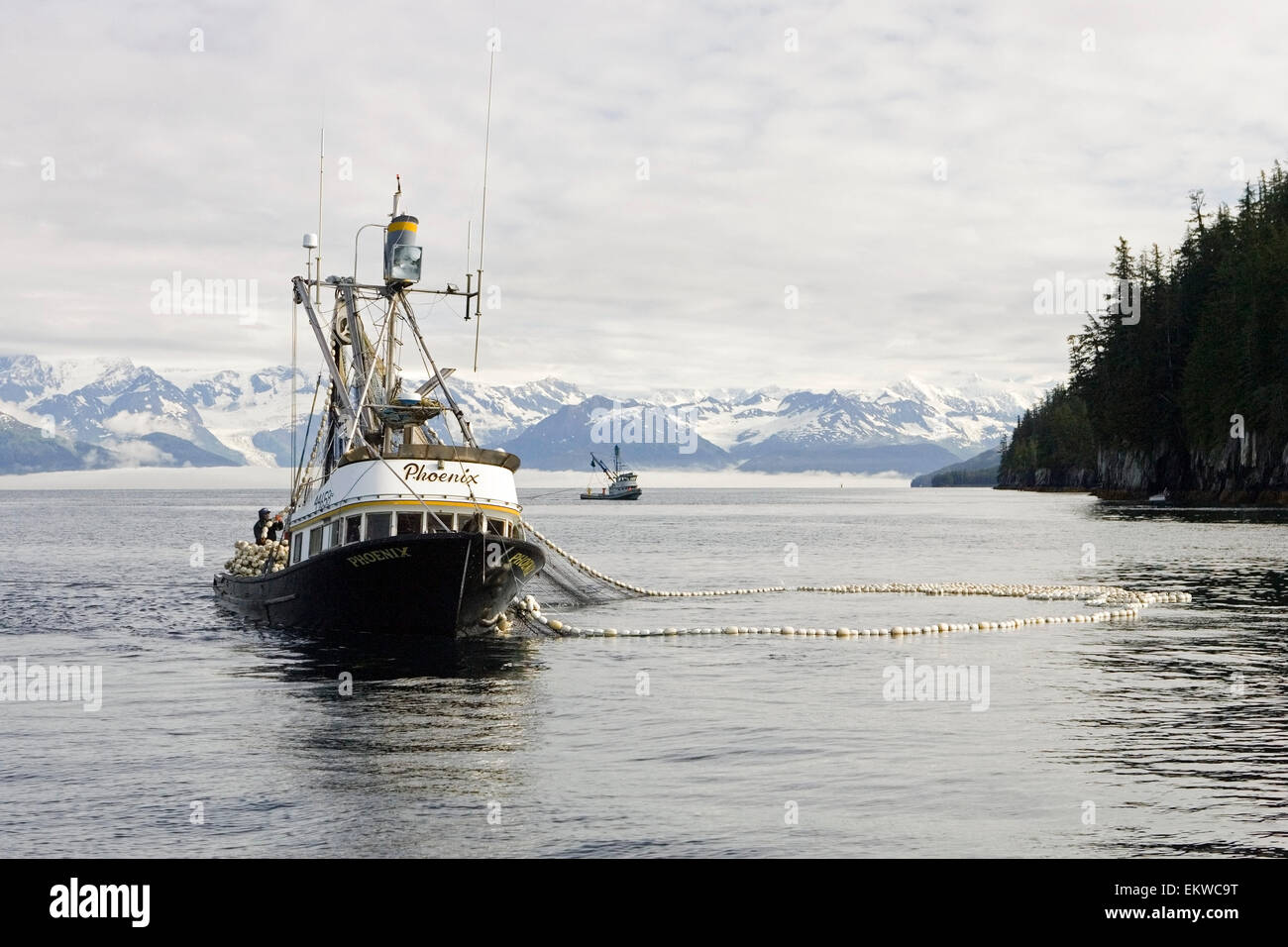 Commercial Fishing Seiner Fishing For Salmon In Prince William Sound ...