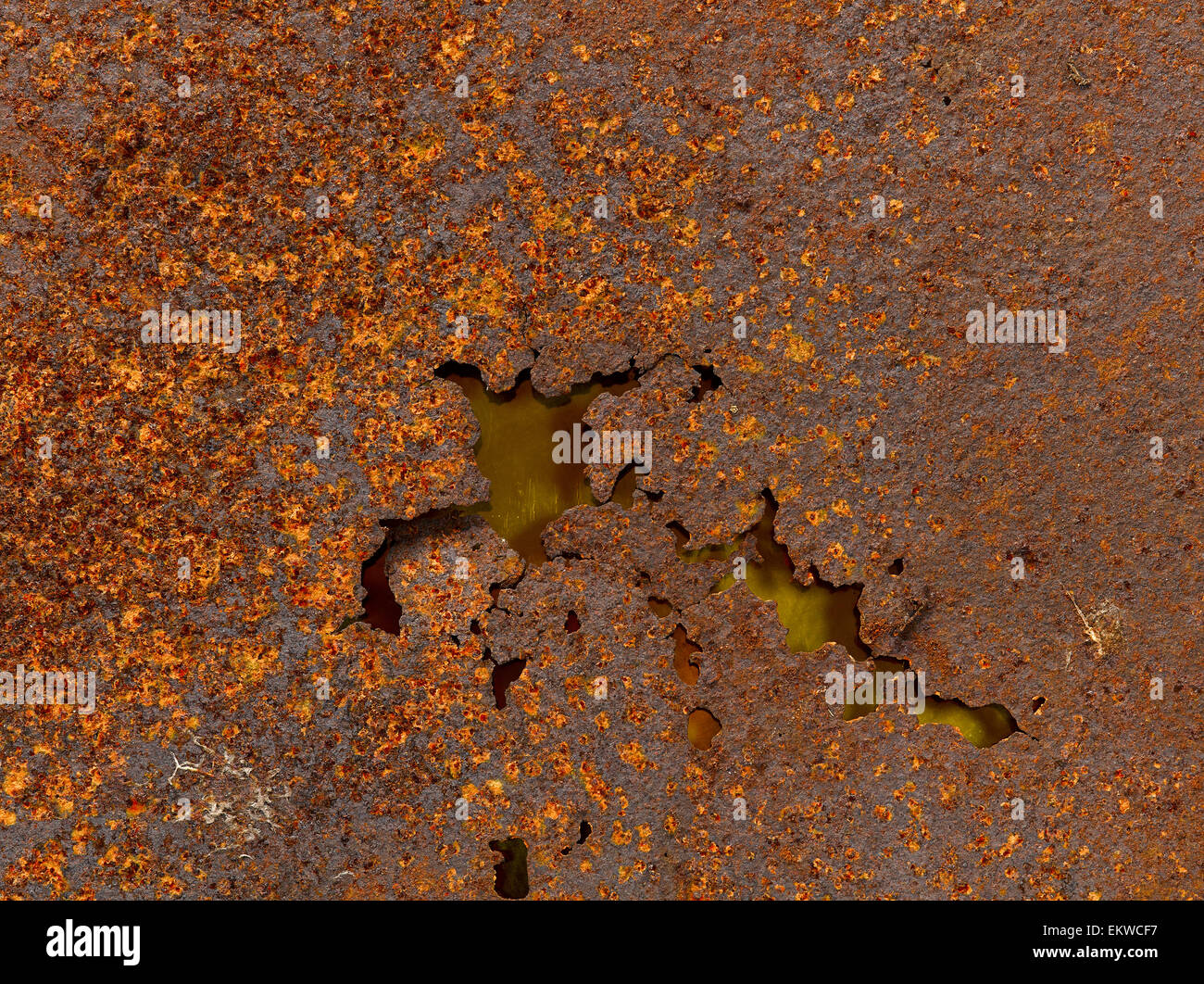 Background plate hi-res stock photography and images - Alamy