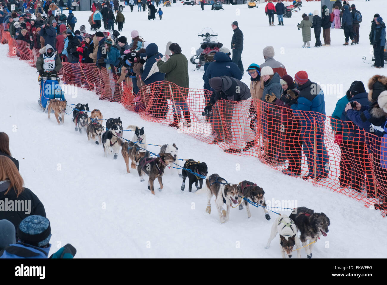 Kim Darst Team Leaves The Start Line During The Restart Day Of Iditarod ...