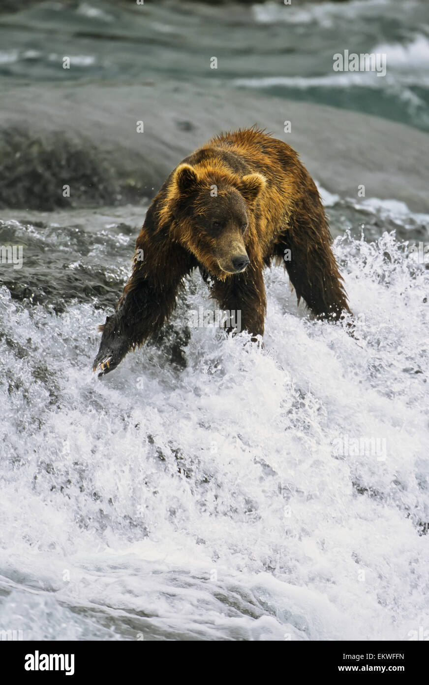 Mcneil falls hi-res stock photography and images - Alamy