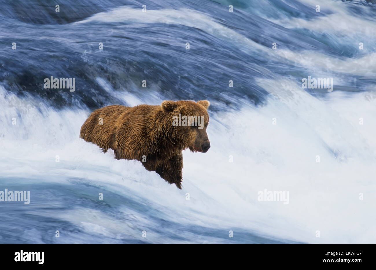 Mcneil falls hi-res stock photography and images - Alamy