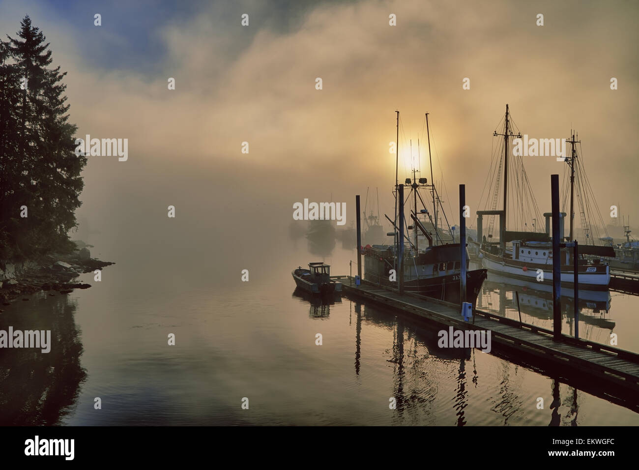 Fog lifting over Auke Bay Harbor, Juneau, Southeast Alaska Stock Photo ...