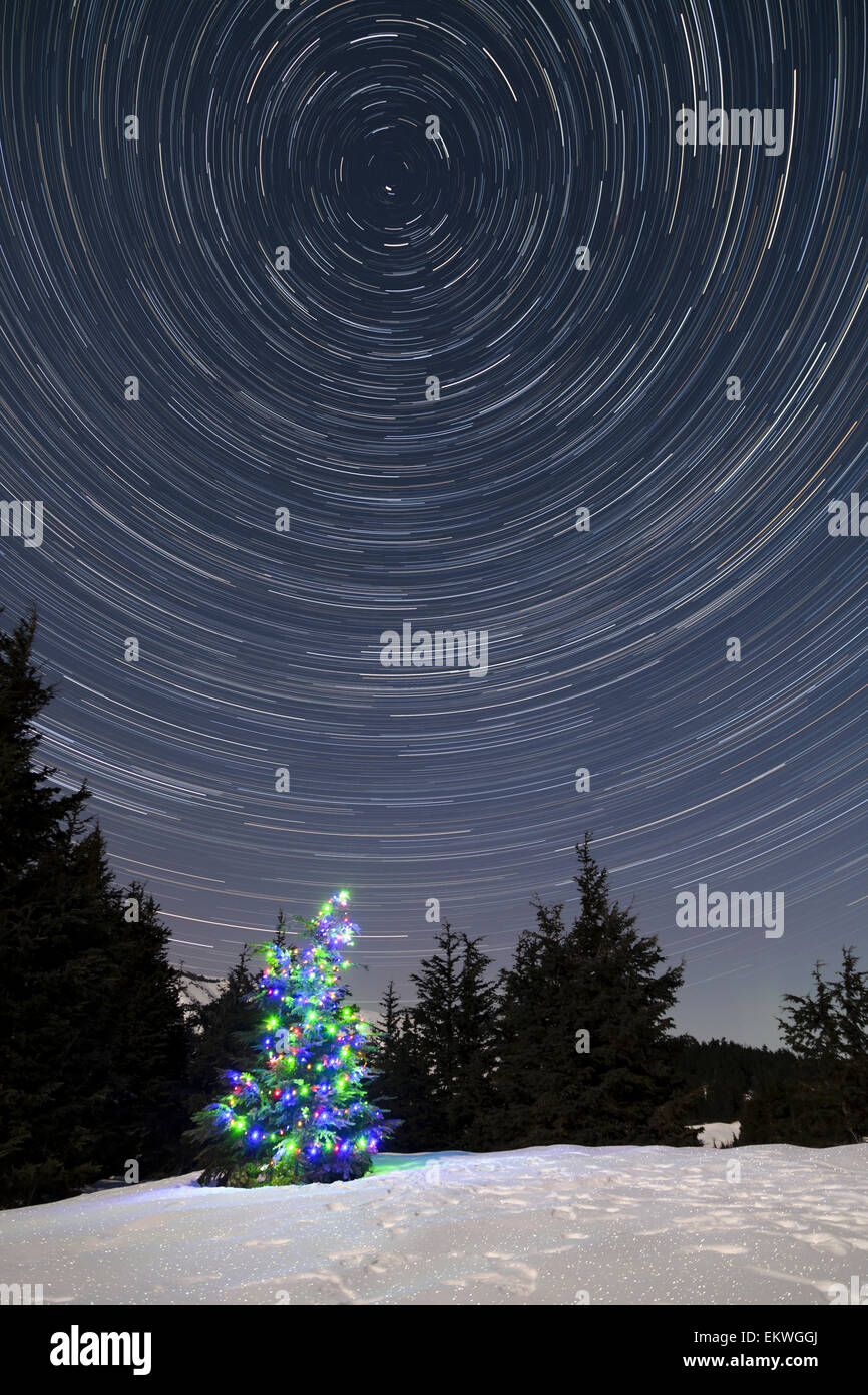 Alaska,Chugach,Christmas Tree,Star Trail Stock Photo - Alamy