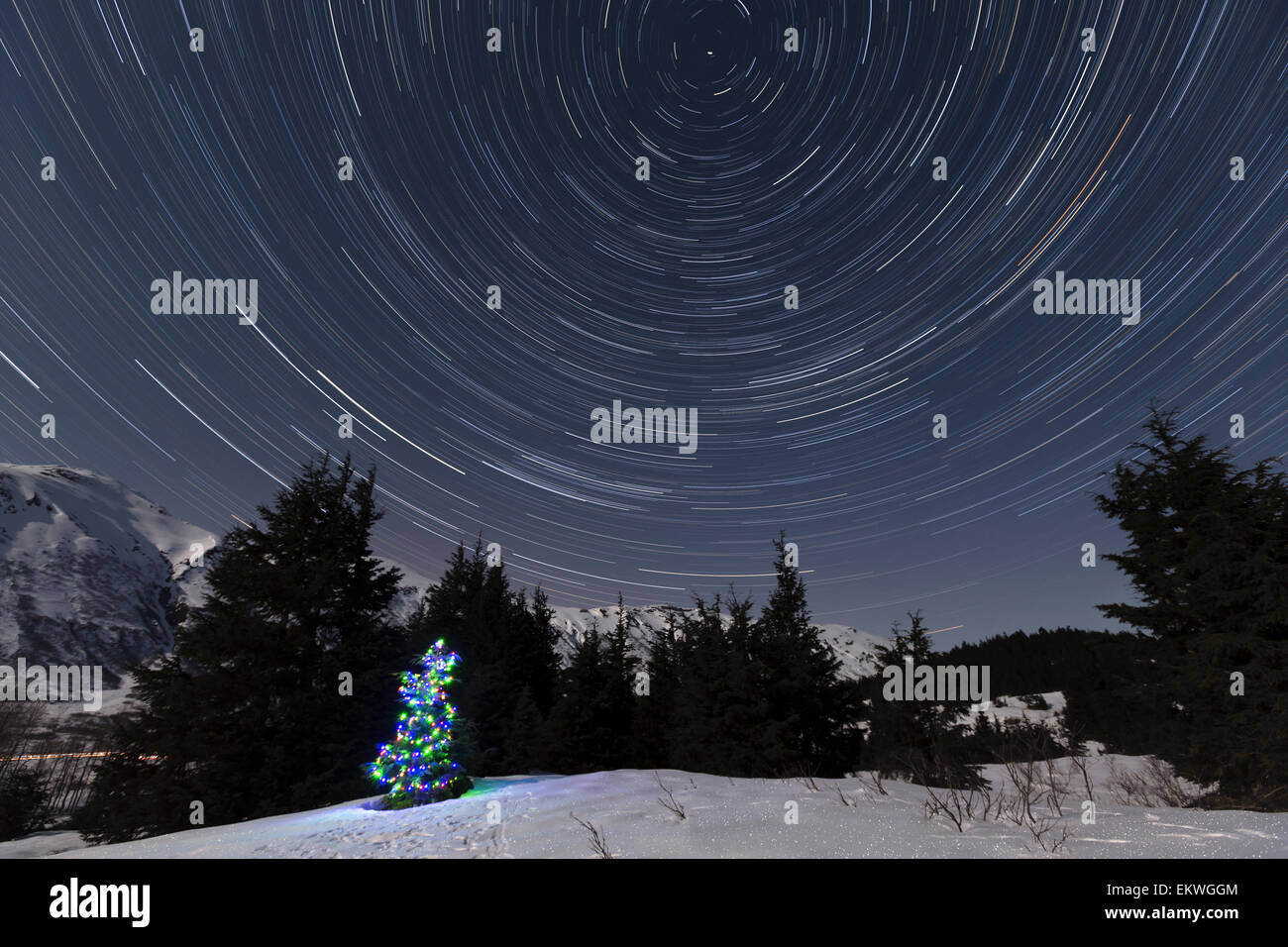 Alaska,Chugach,Christmas Tree,Star Trail Stock Photo - Alamy