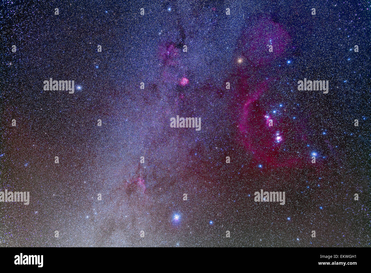Canis Major And Orion