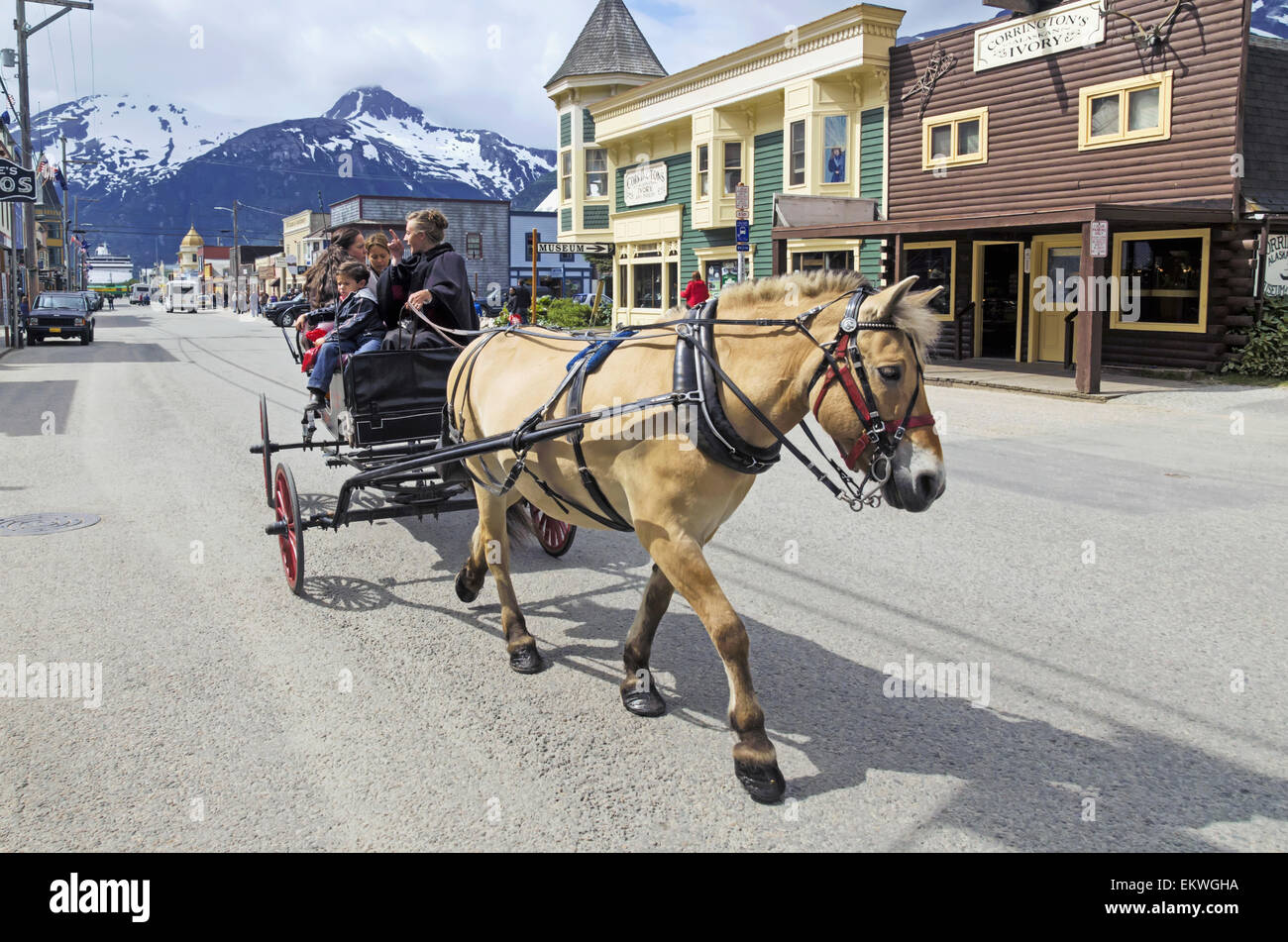 Horse,Carriage,Tourist,Klondike Gold Rush Stock Photo - Alamy