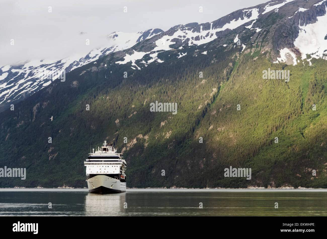 Alaska,Cruise Ship,Skagway,Taiya Inlet Stock Photo - Alamy