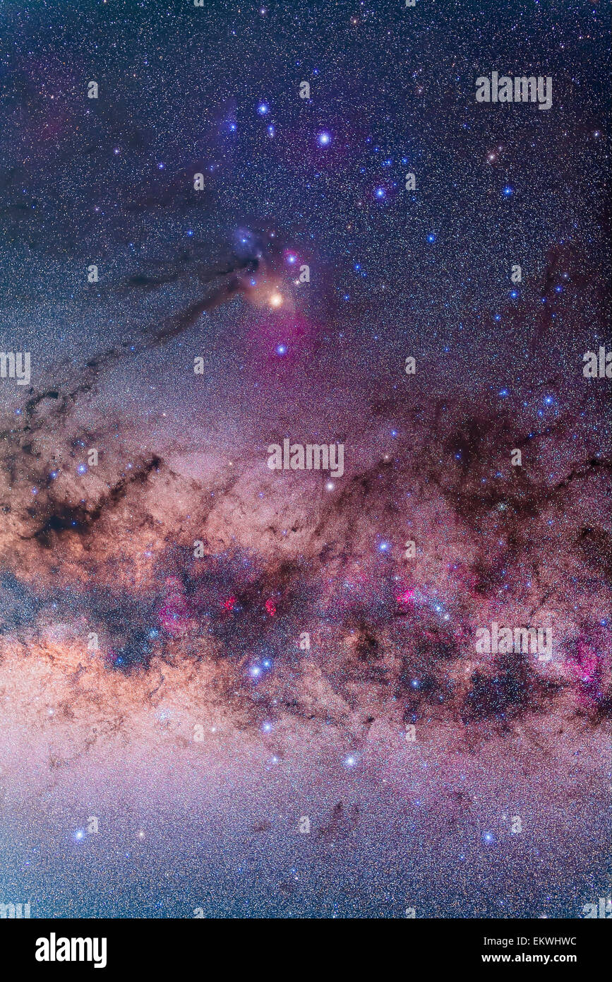 All of Scorpius, plus parts of Lupus and Ara regions of the southern ...