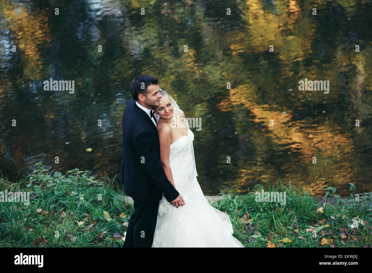 Beautiful wedding couple posing in forest Stock Photo - Alamy