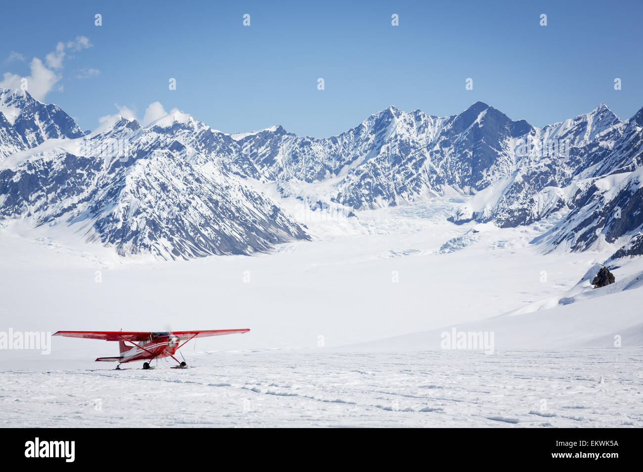 A Cessna 185 ski plane landing on the Ruth Glacier below the Don ...