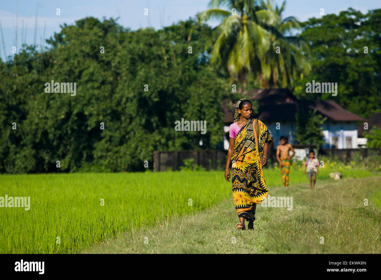 Country buildings bangladesh hi-res stock photography and images - Alamy
