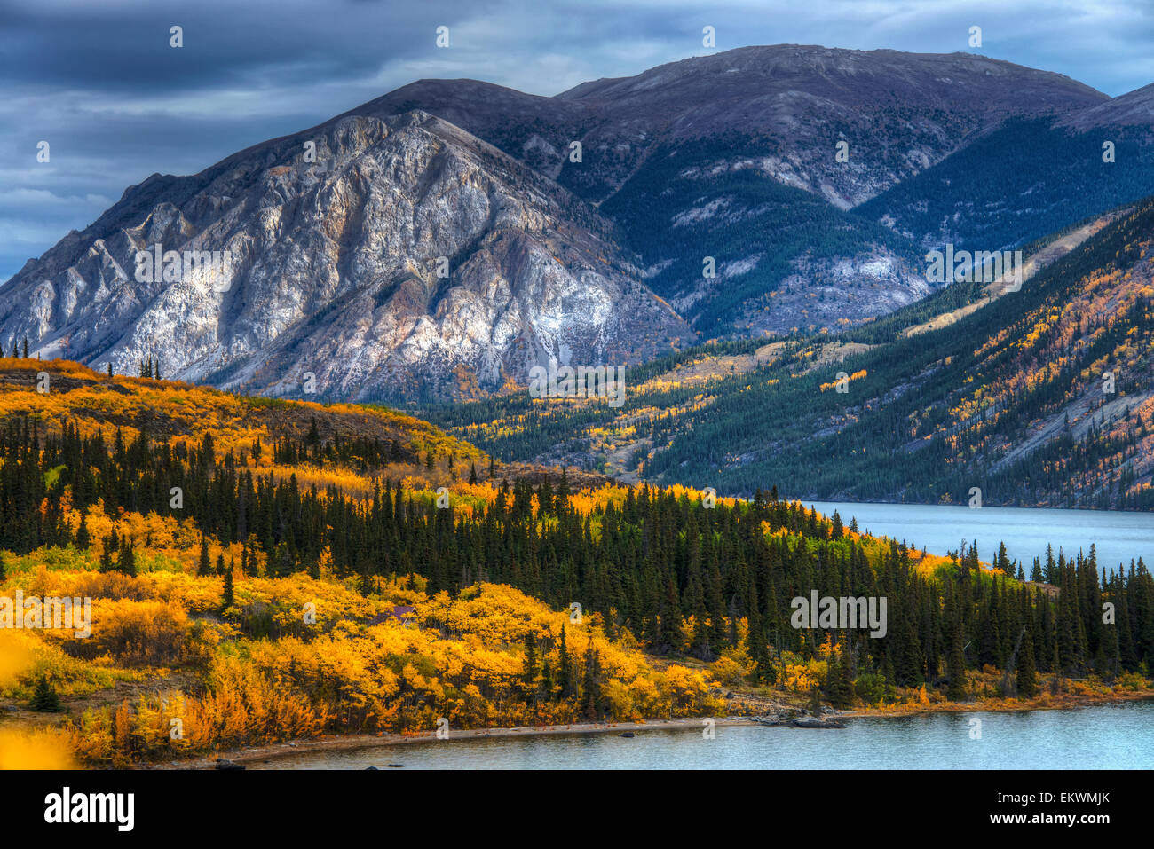 Lake Tagish Hi res Stock Photography And Images Alamy