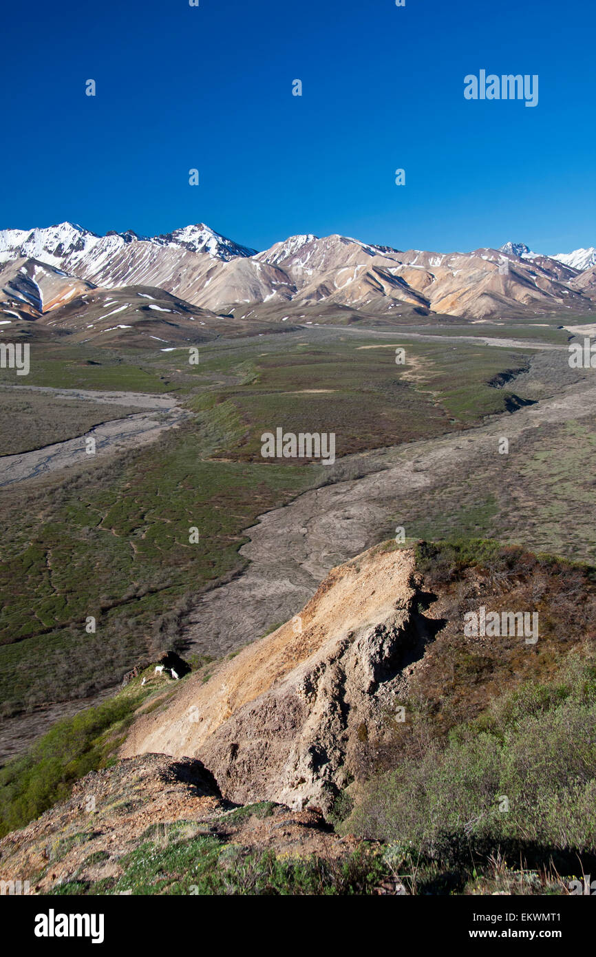 Scenic view overlooking the Alaska Range and riverbed from Polychrome ...
