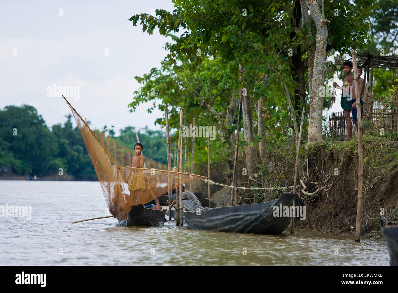 Casting A Net Into The Water Off The Edge Of A Boat On The Surma River ...
