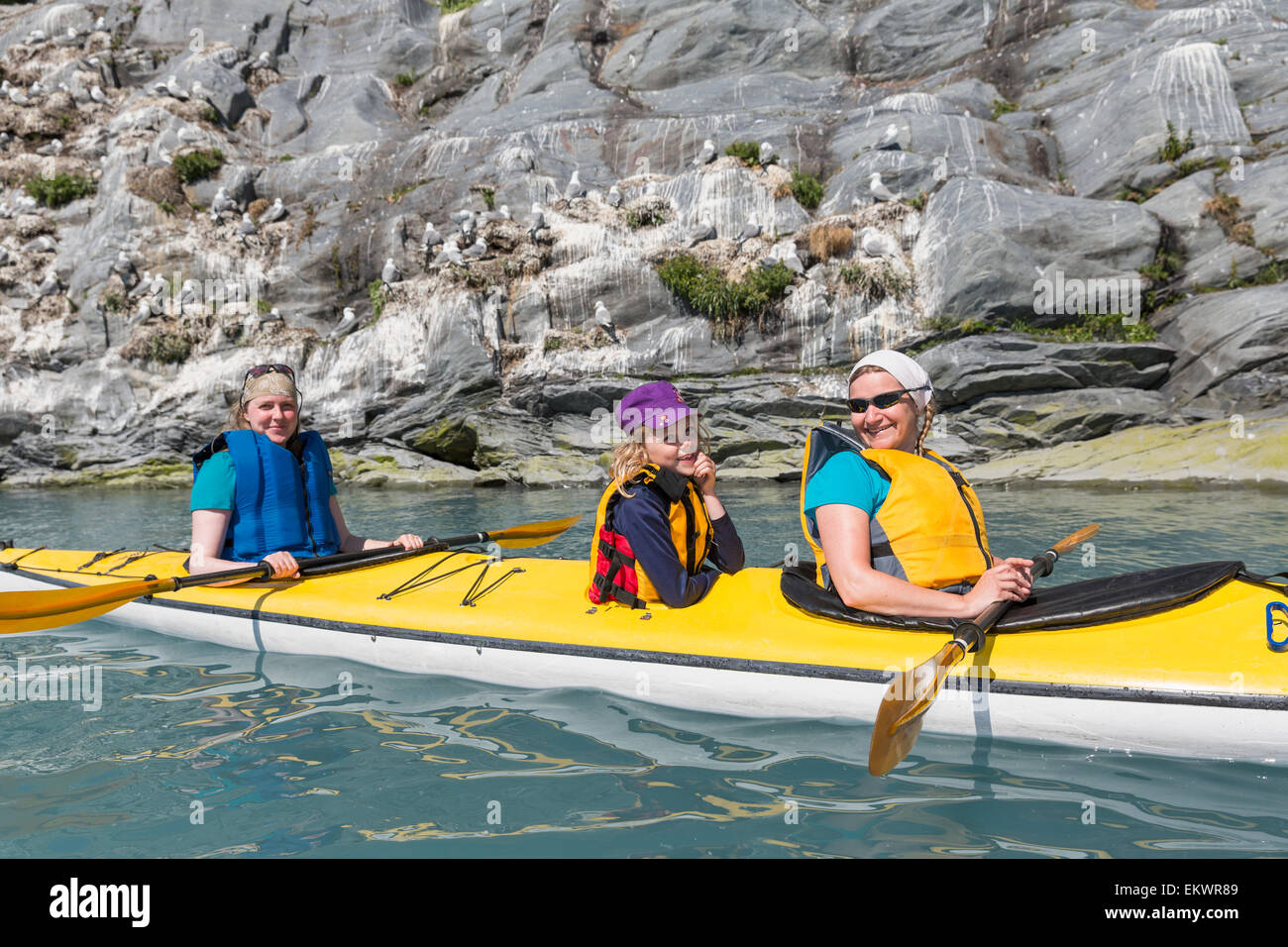 Sea kayaking in front of a Kittiwake bird rookery, Shoup Bay State ...