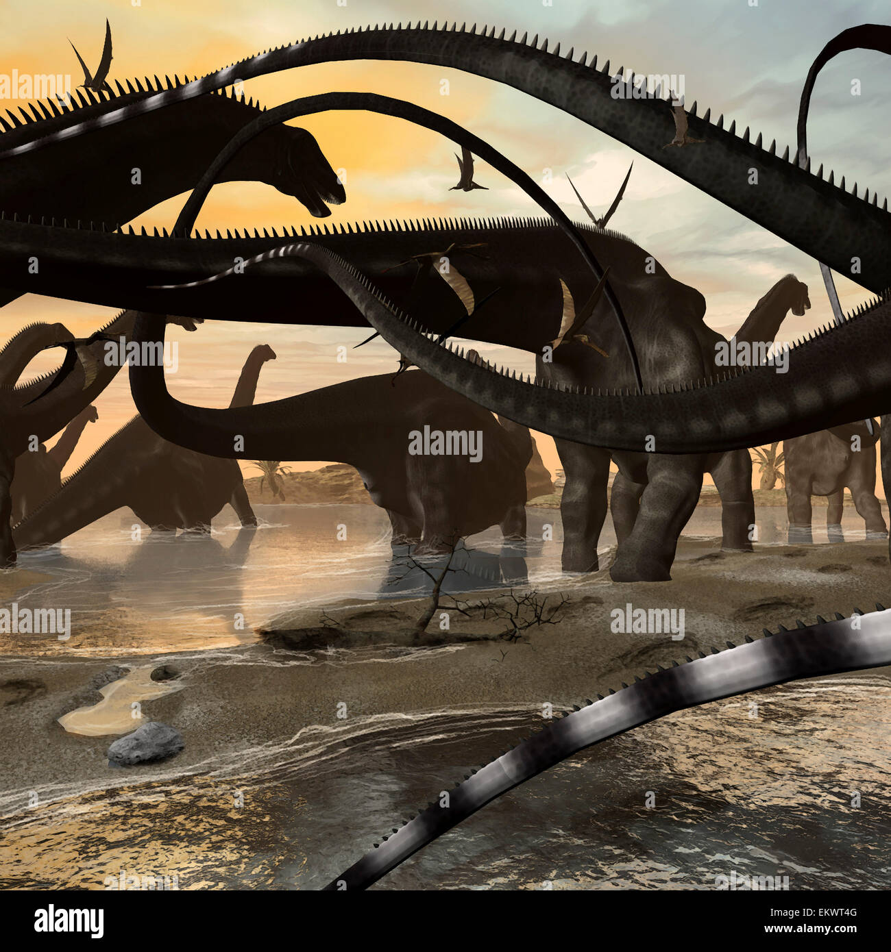 Sauropod dinosaur herd tracks hi-res stock photography and images - Alamy