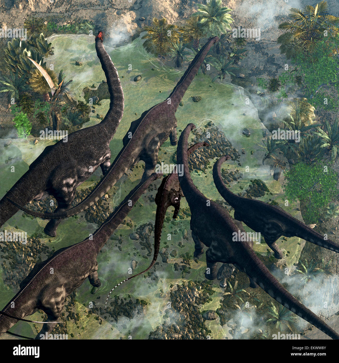 Apatosaurus hi-res stock photography and images - Alamy