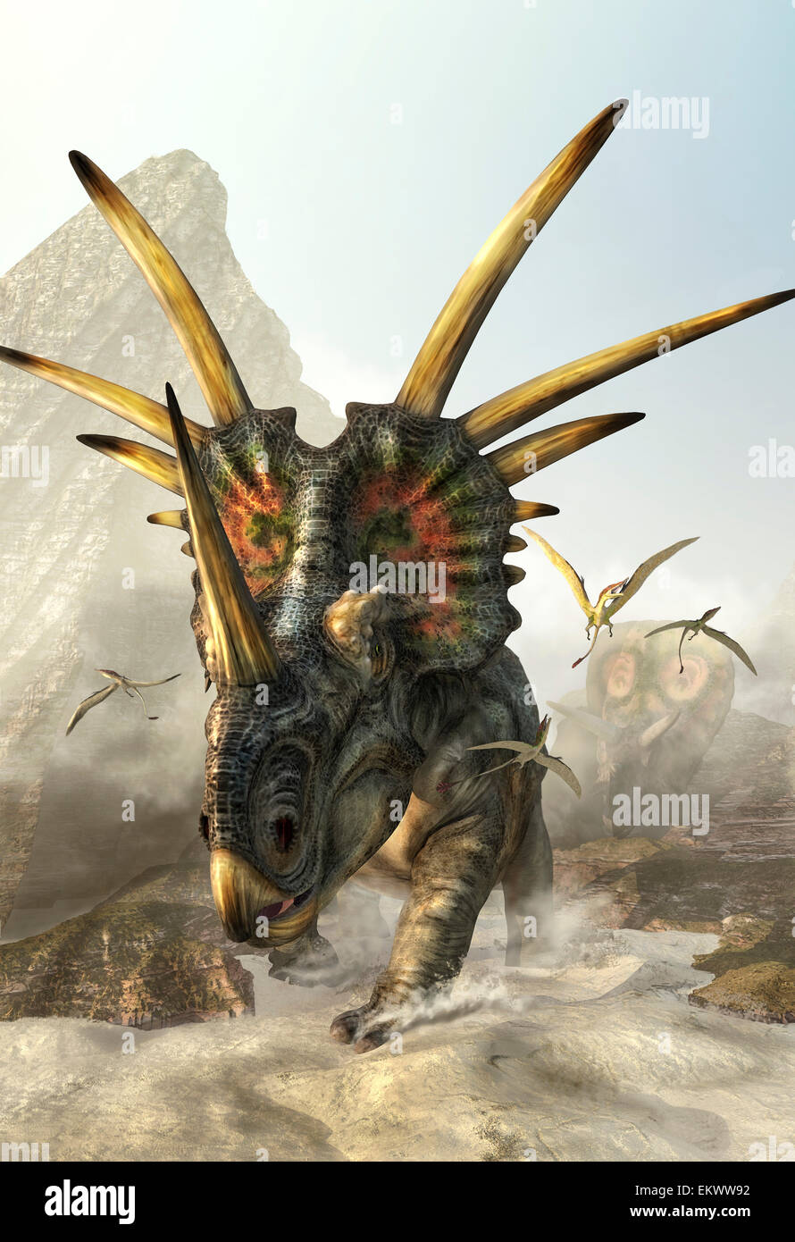 Styracosaurus front view hi-res stock photography and images - Alamy