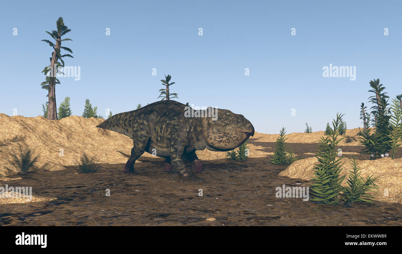 Udanoceratops hi-res stock photography and images - Alamy