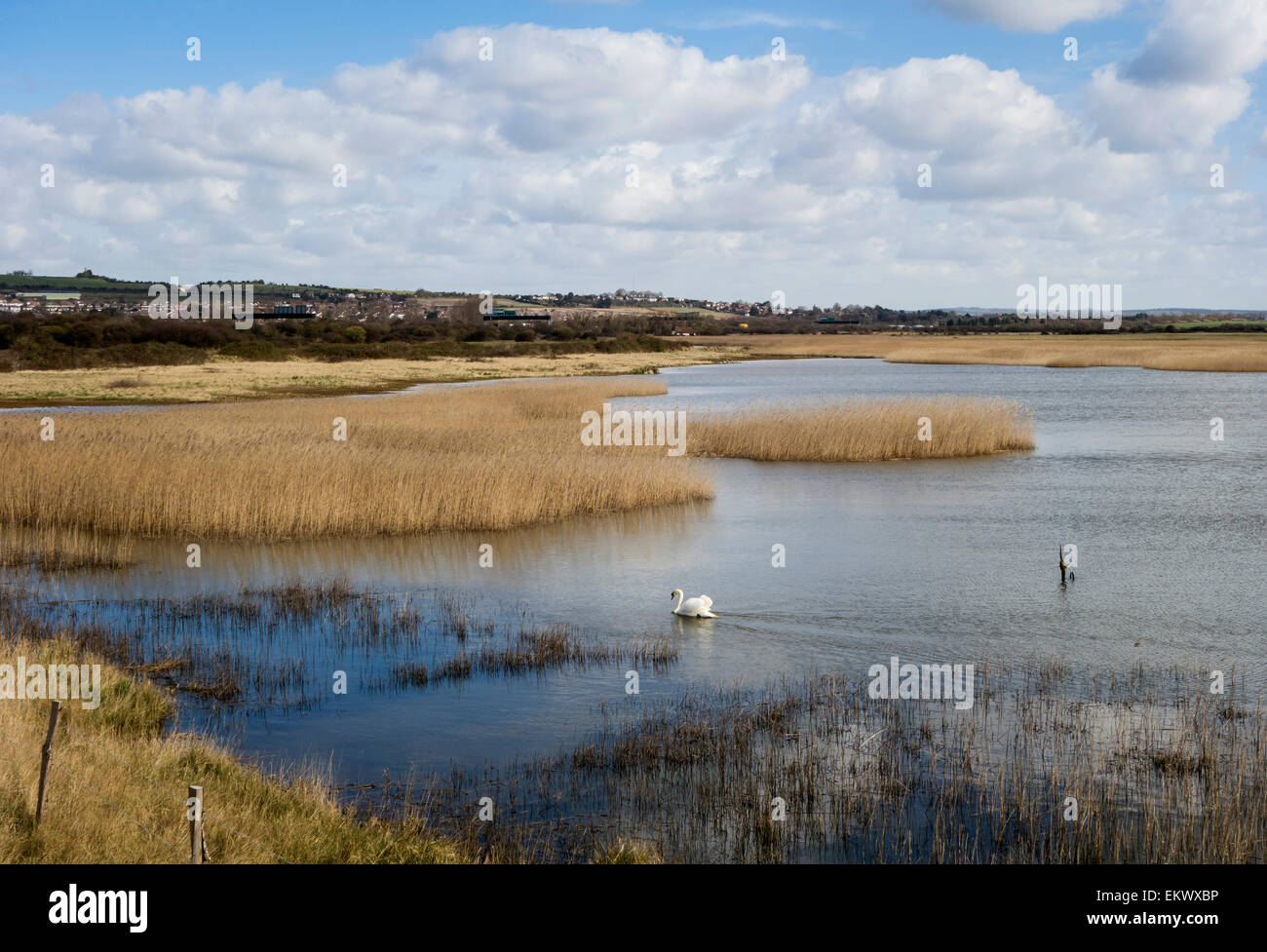 Farlington Marshes Nature Reserve, Havant, Hampshire, England, UK Stock ...