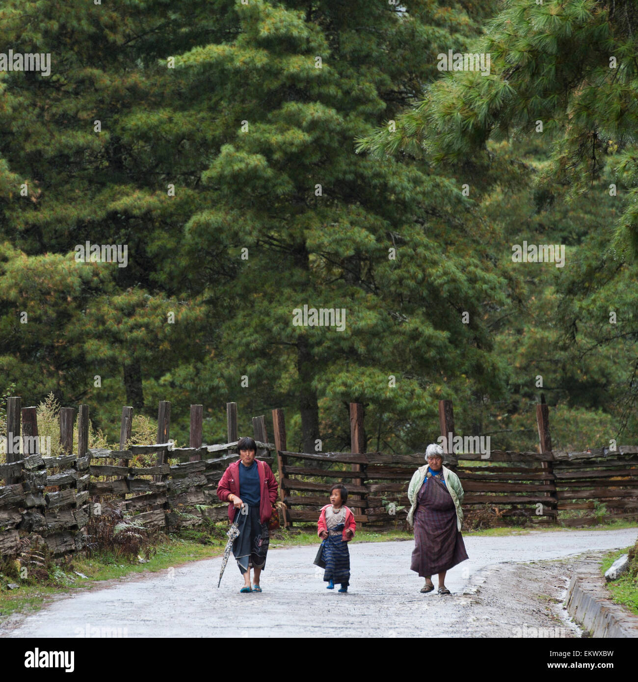 People Walking Along Rural Road; Phobjikha Valley Bhutan Stock Photo ...