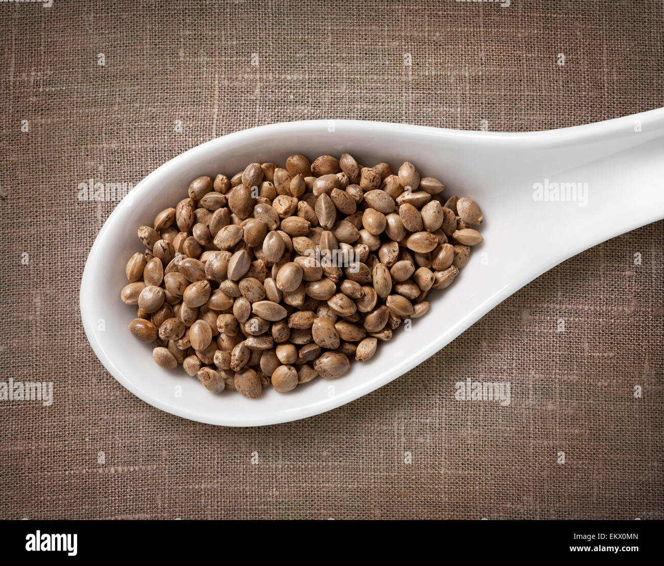 Hemp seeds in a wooden spoon / high-res photo of grain in white ...