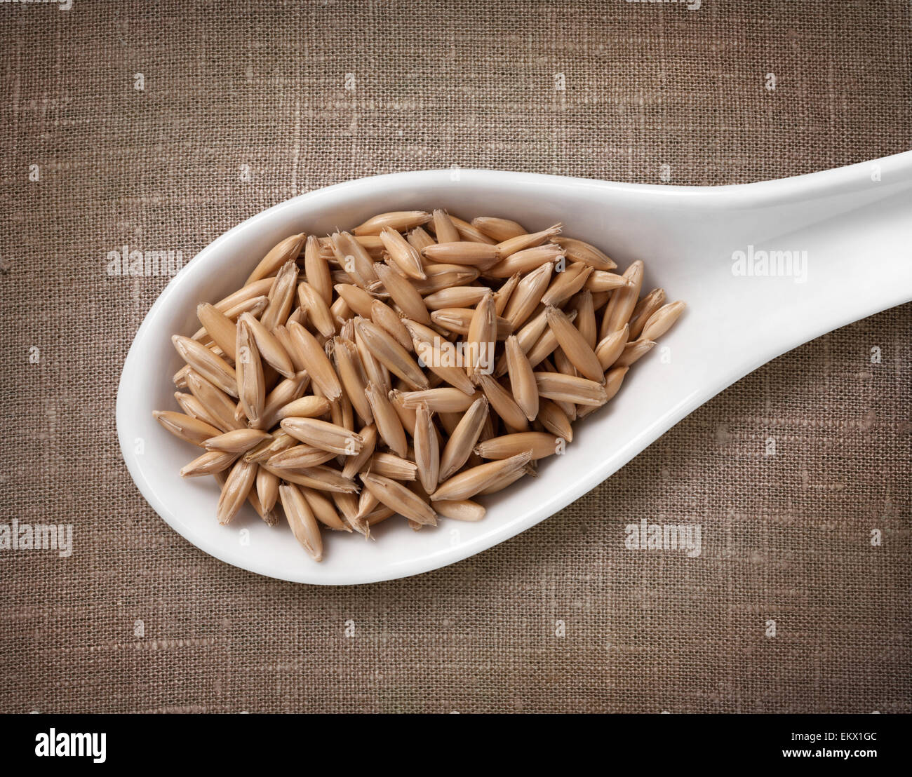 Rye in white porcelain spoon / high-res photo of grain in white ...