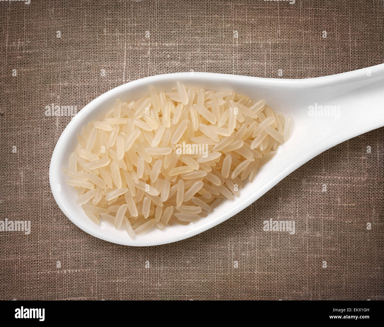 Steamed rice in white porcelain spoon / high-res photo of grain in ...