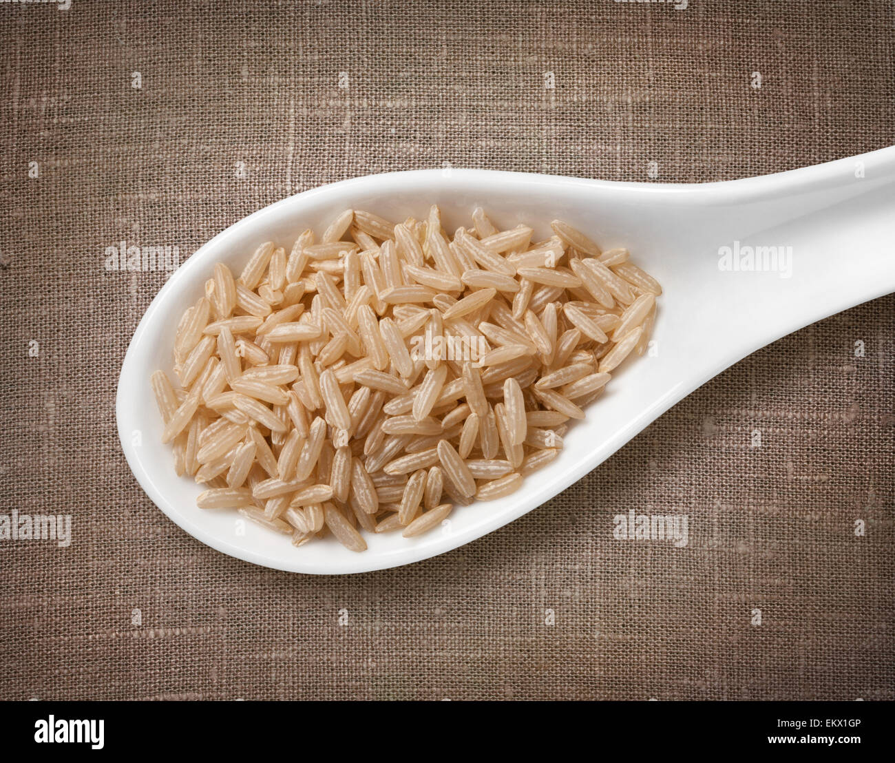 Unpolished rice in white porcelain spoon / high-res photo of grain in ...
