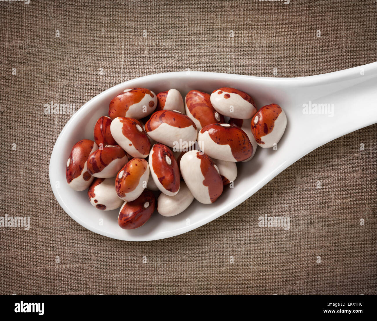 Speckled beans in white porcelain spoon / high-res photo of grain in ...