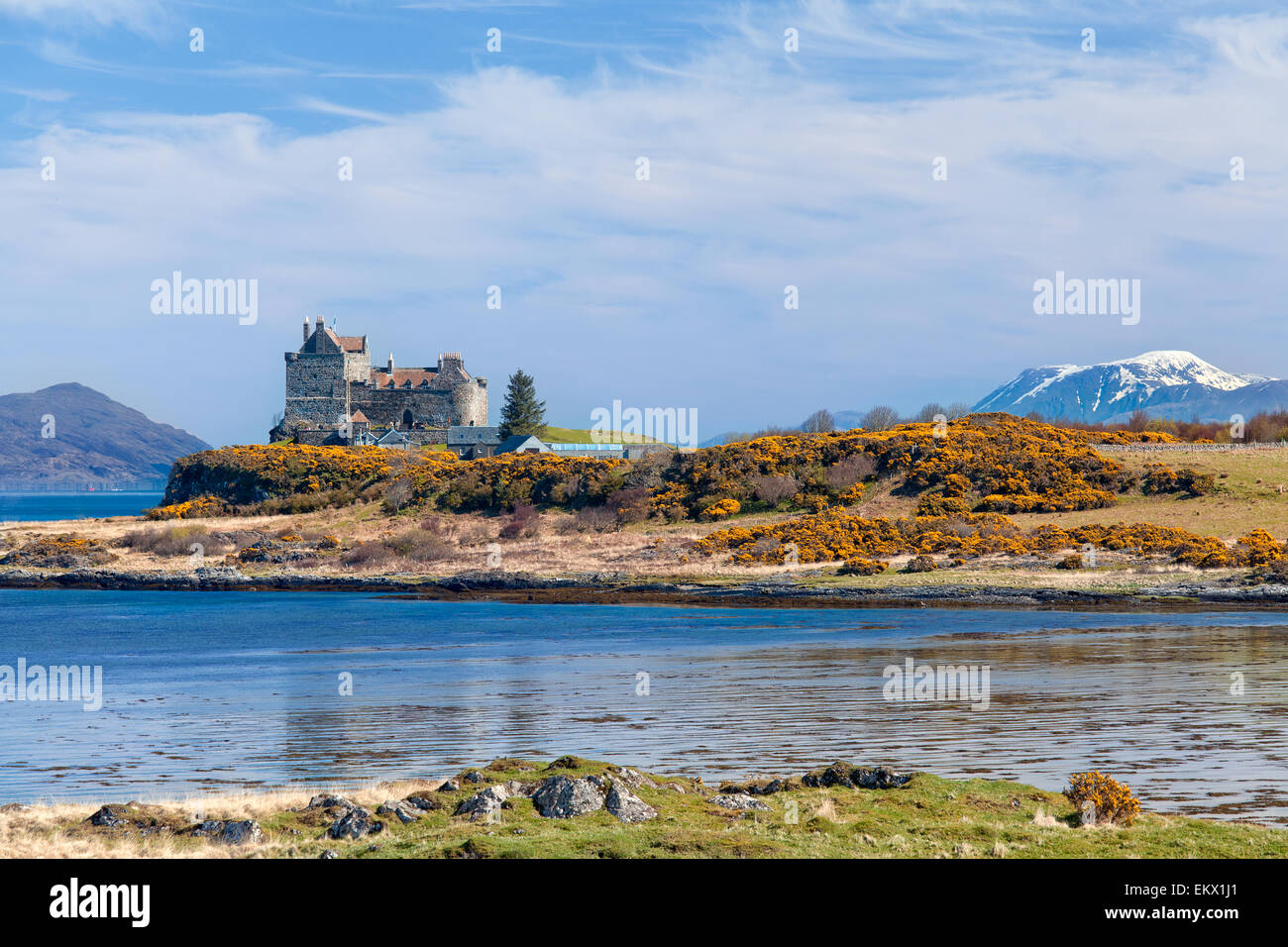Duart castle on the isle of Mull, Scotland Stock Photo - Alamy