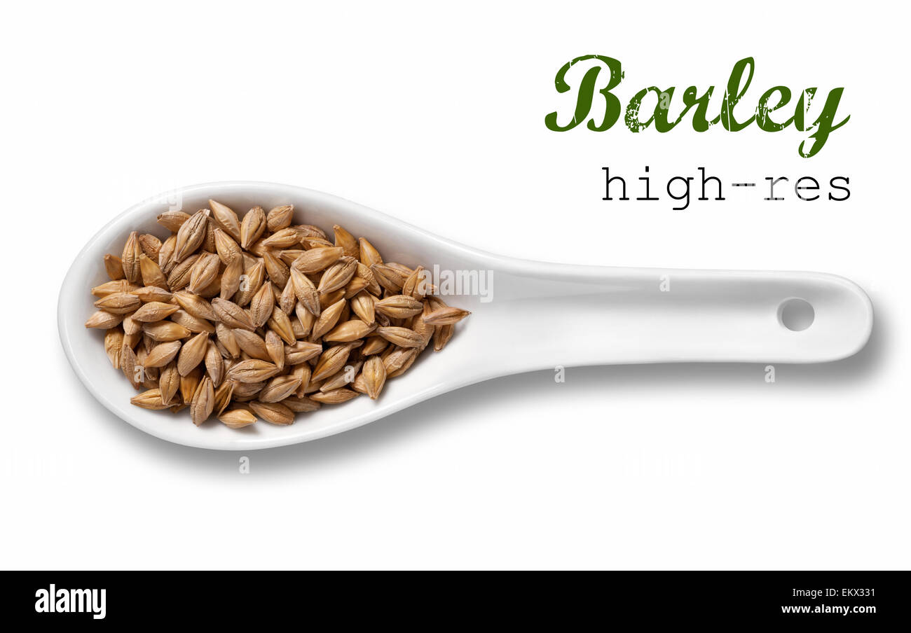 Barley in white porcelain spoon / high resolution product photography of cereal in white ...