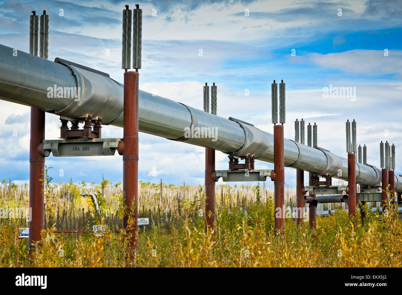 Pipeline in fall colors, Dalton Hwy, Arctic Alaska, Autumn Stock Photo ...