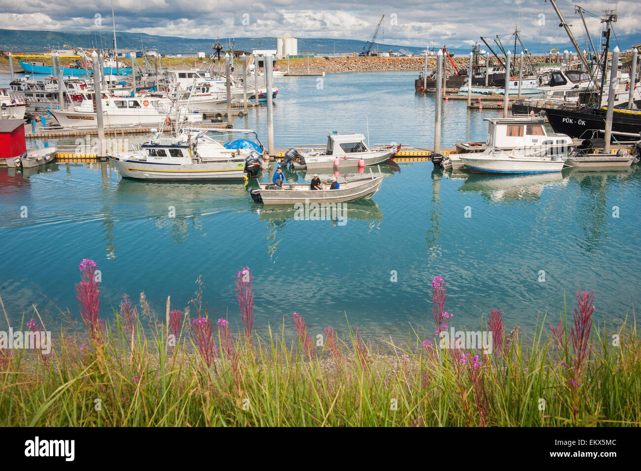 Boats docked in the Homer small boat harbor, Homer Spit, Kenai ...