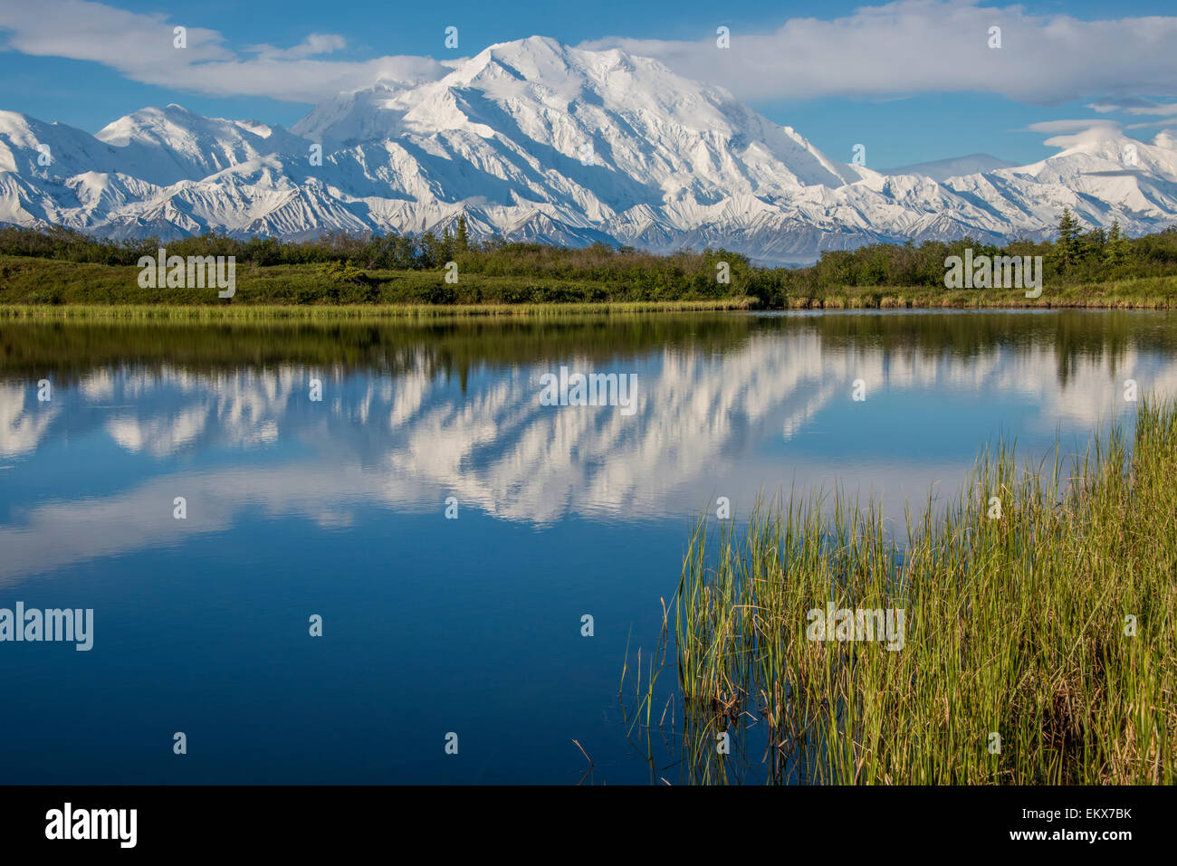 Scenic view of Mt. McKinley reflecting in Reflection Pond, Denali ...