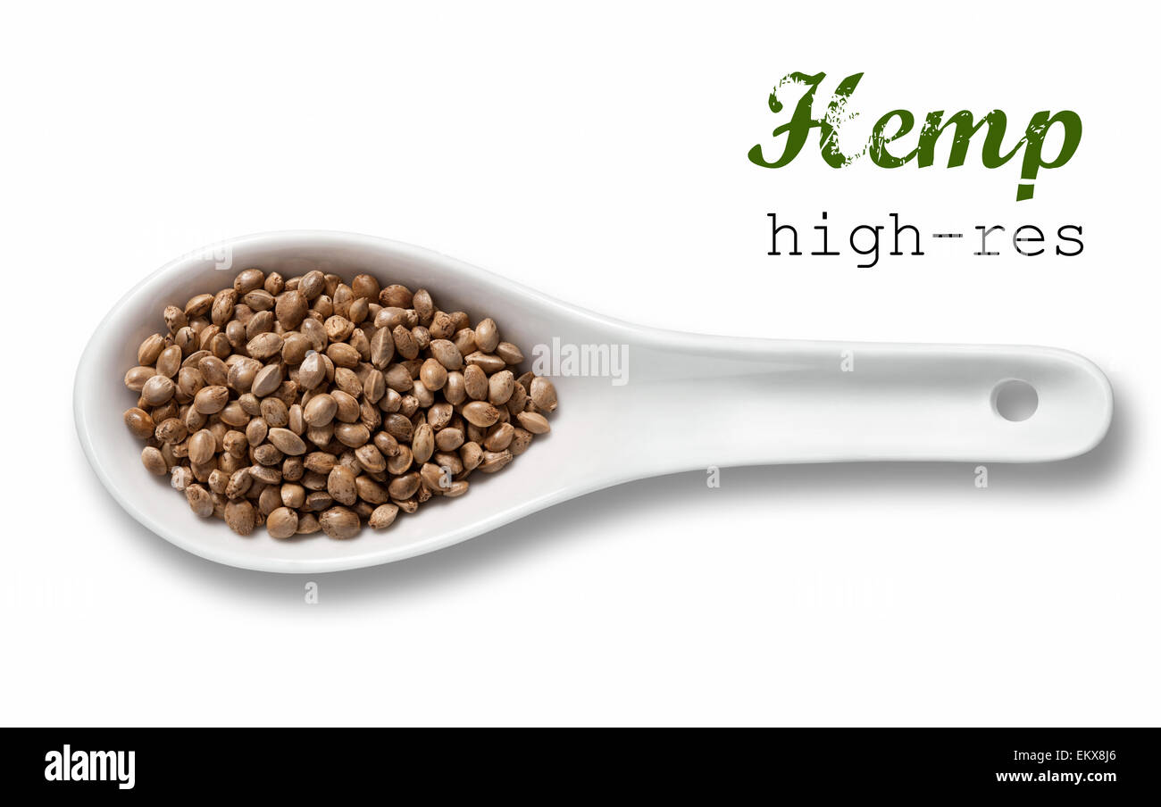 Hemp seeds in a wooden spoon / high resolution product photography of seed in white porcelain ...