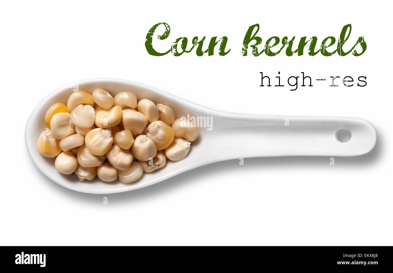 White corn kernels in white porcelain spoon / high resolution product photography of seed in ...