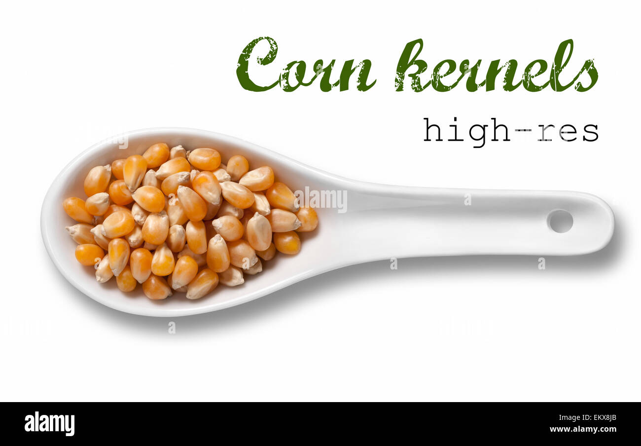Yellow corn kernels in white porcelain spoon / high resolution product photography of seed in ...
