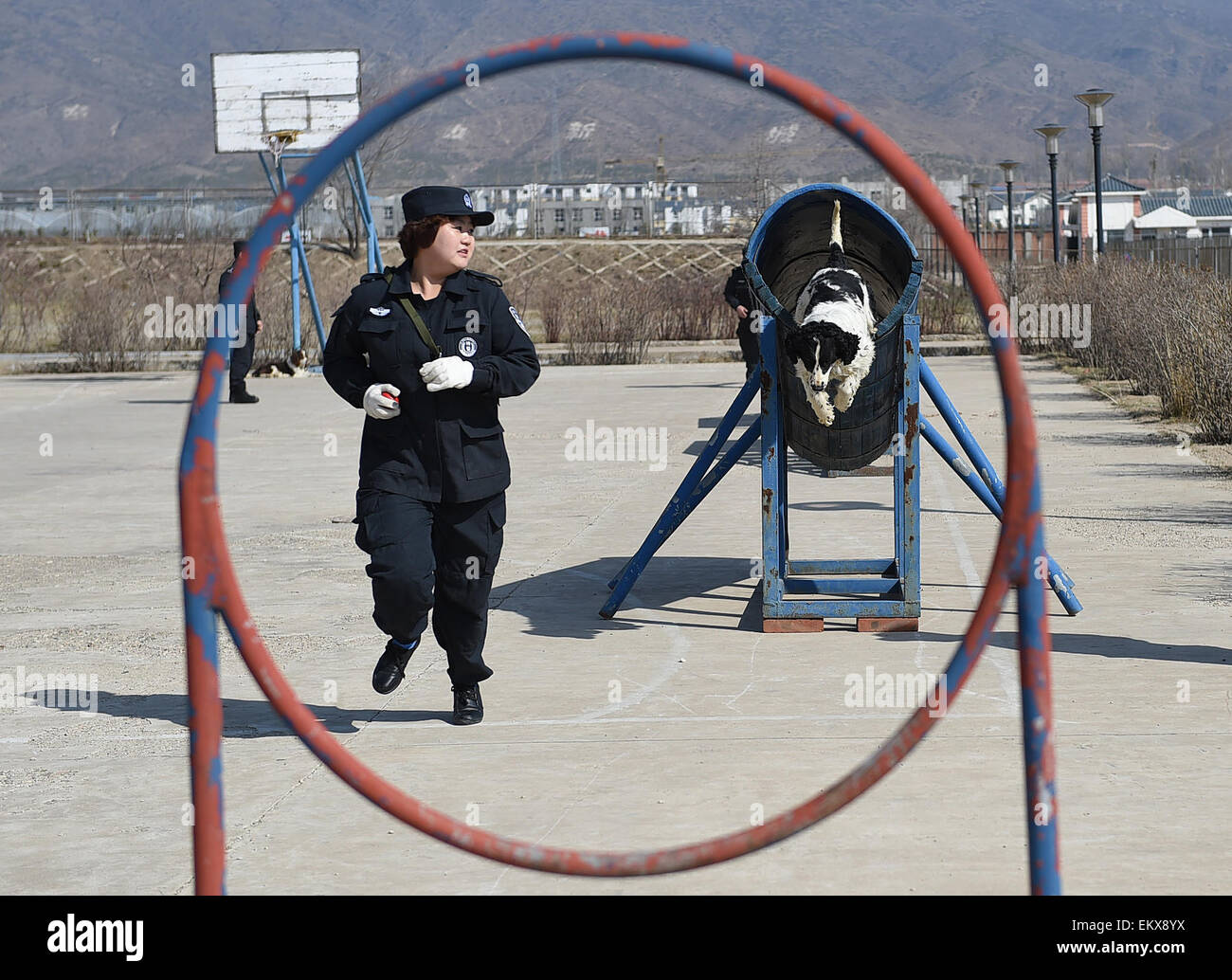 (150414) -- HOHHOT, April 14, 2015 (Xinhua) -- Trainer Wang Lan trains ...